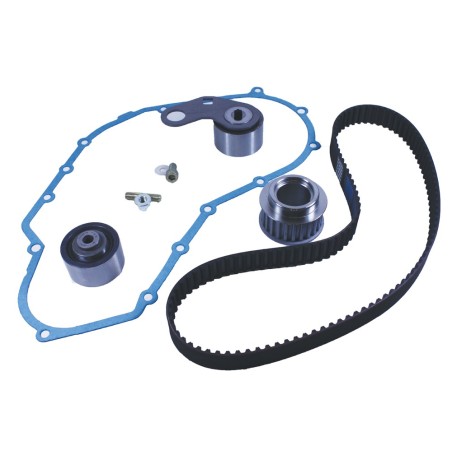 Timing Belt Kit 300 TDi