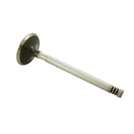 Inlet valve diesel